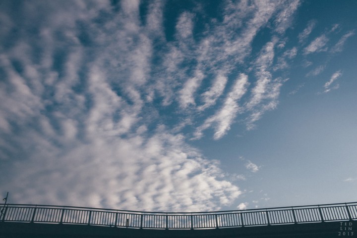 Ted Photography – 沈靜思考。Expecting happiness