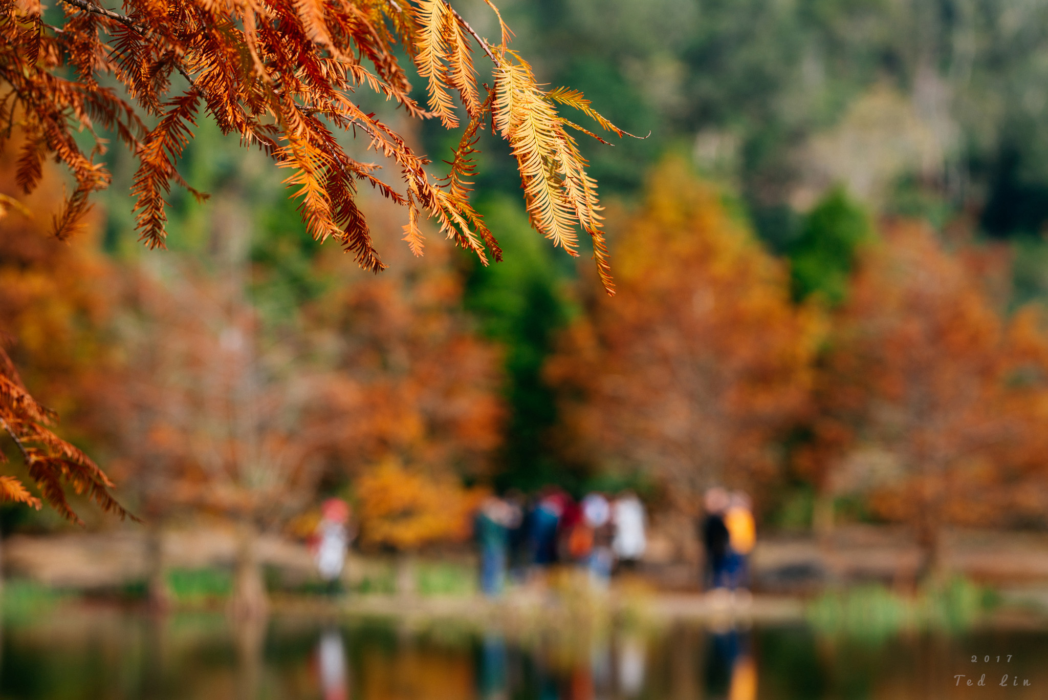 Ted Photography – 沈靜思考。Expecting happiness