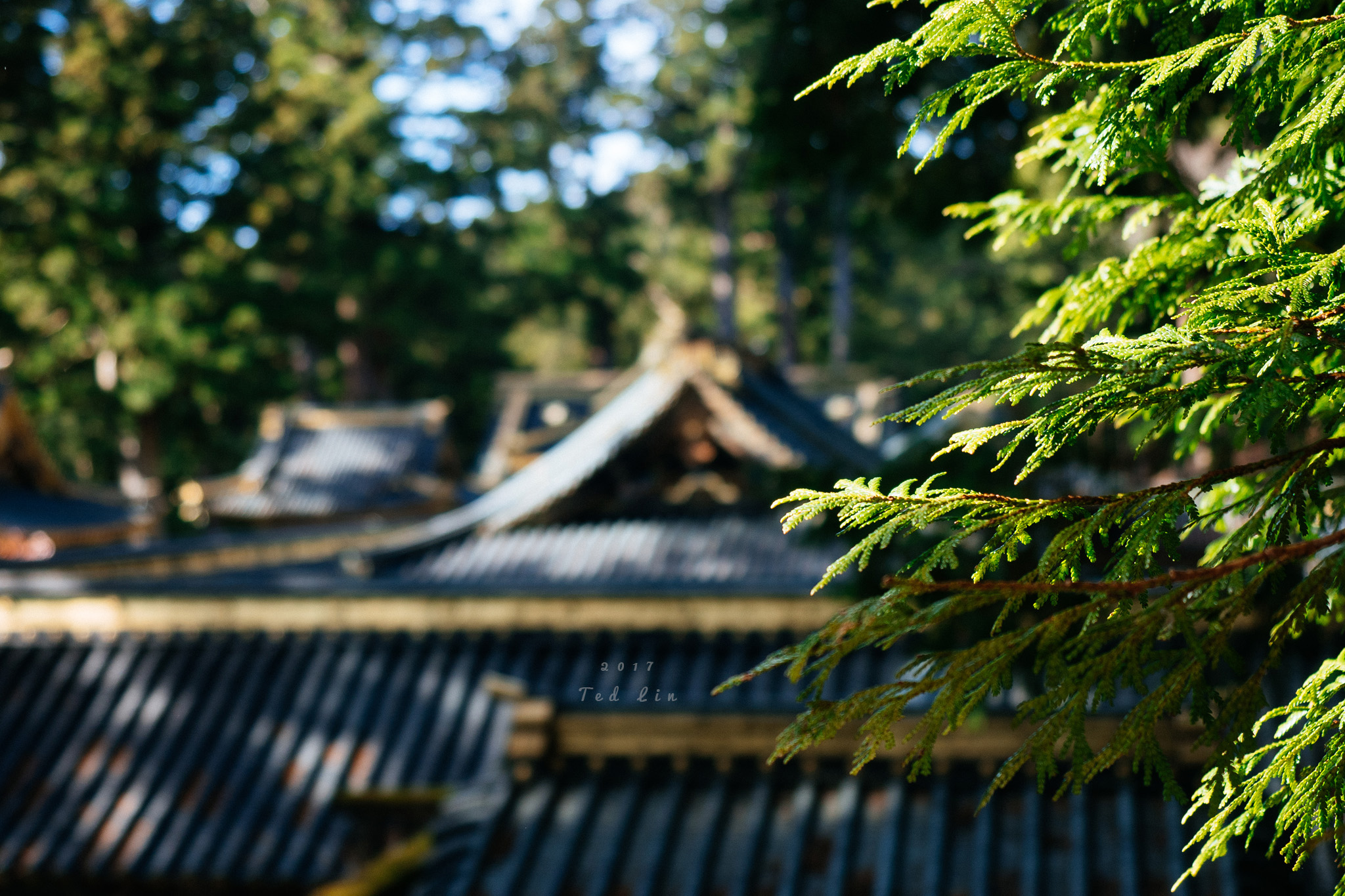 Ted Photography – 沈靜思考。Expecting happiness